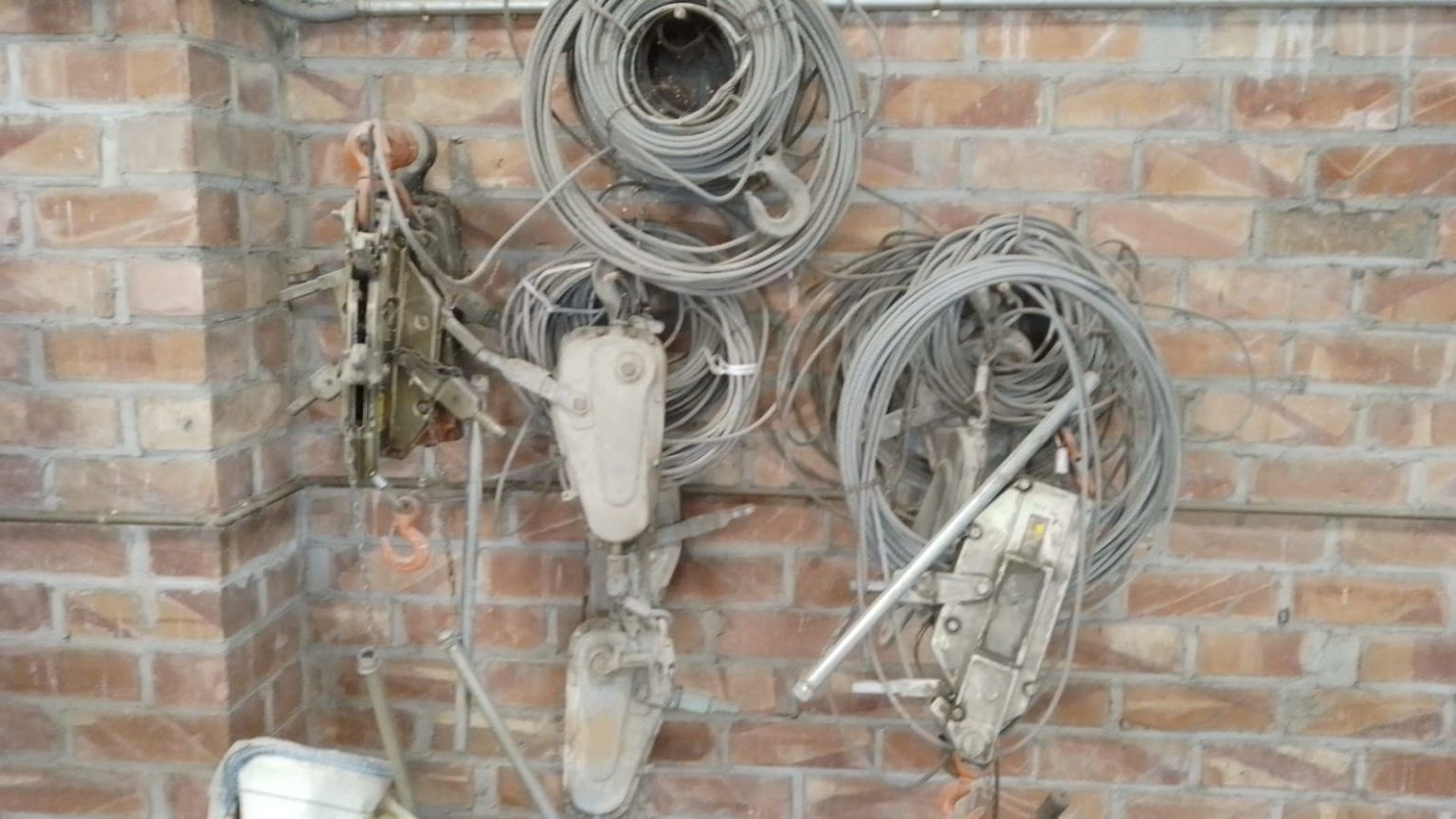 CABESTRANTE TERNAL CON SIRGA - Oller Stocks